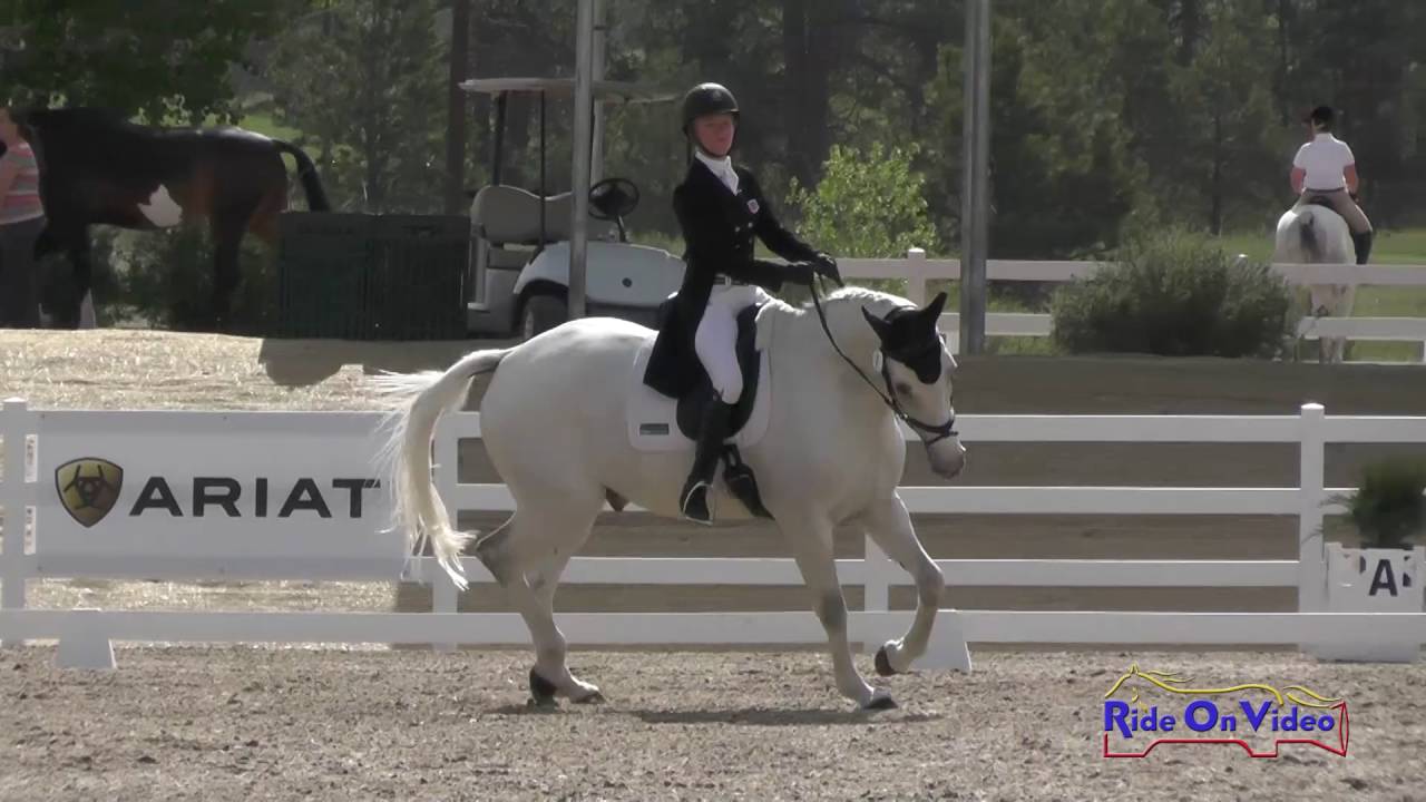 007D Clara Cargile on White Indian CIC2* Dressage Colorado Horse Park ...