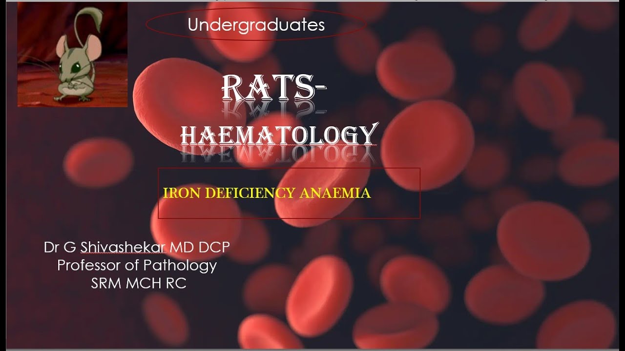 UG Spotters- Haematology IRON DEFICIENCY ANAEMIA |RATS [GAME] |DR GSS ...