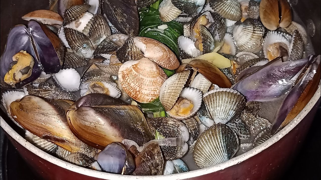 BANGKALAN SHELL RECIPE - YouTube