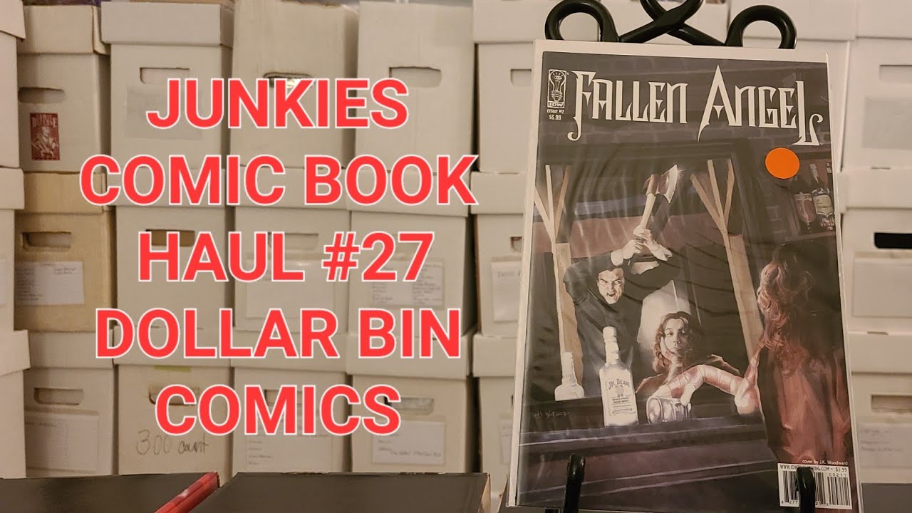 JUNKIES COMIC BOOK HAUL #27 / 2024. DOLLAR BIN COMIC BOOKS! - YouTube