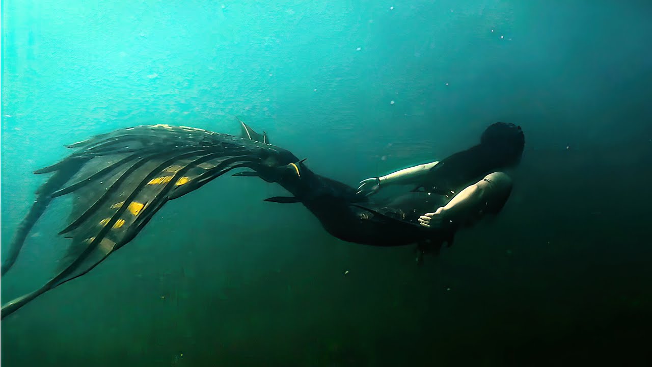 DARK MERMAID IN THE SEAWEED (a slightly eerie video of Mermaid Shadow ...