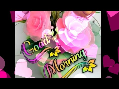 ❣️💞Good morning ❣️ 🌄 everyone #whatshapp status #video