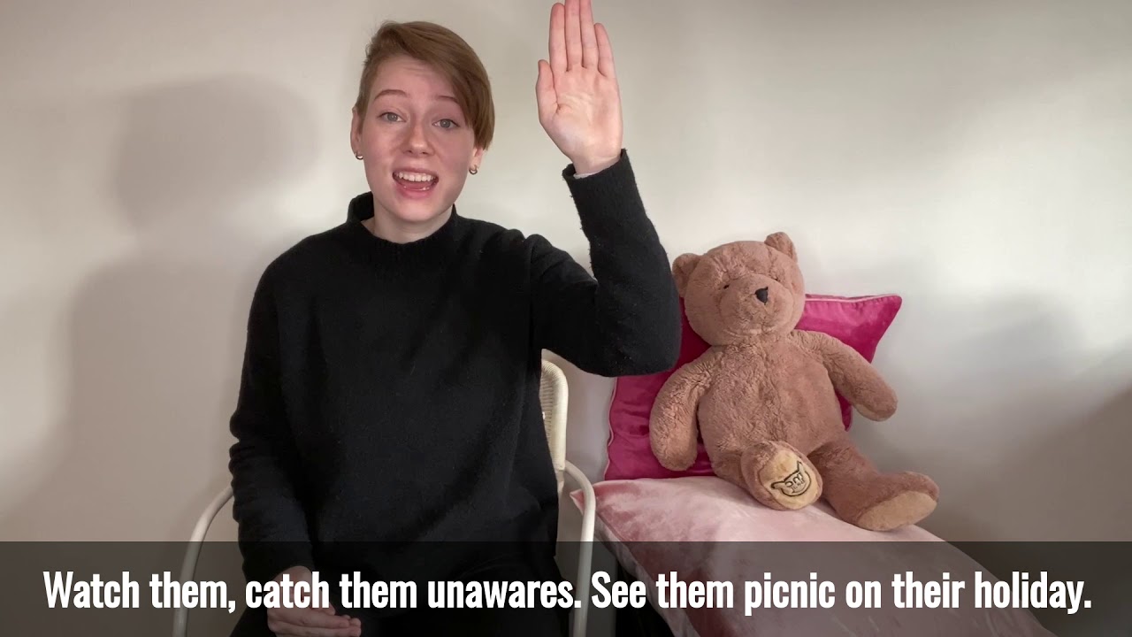 Makaton Story telling - Teddy bears picnic by Alicia - YouTube