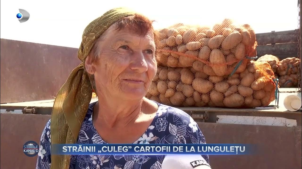 Stirile Kanal D (22.08.2023) - STRAINII "CULEG" CARTOFII DE LA LUNGULETU | Editie de seara - YouTube