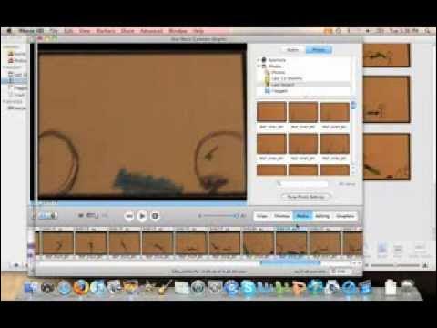 Cartoon Animation Tutorial - YouTube