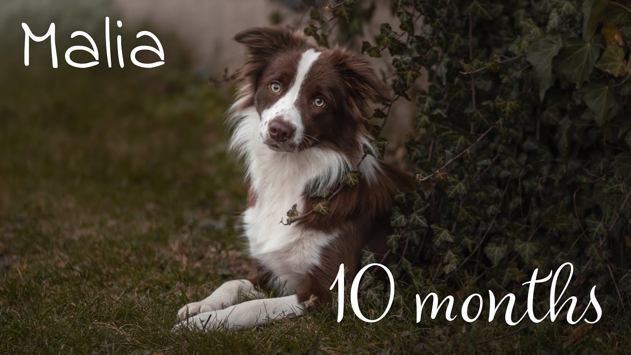 Malia 10 months - YouTube