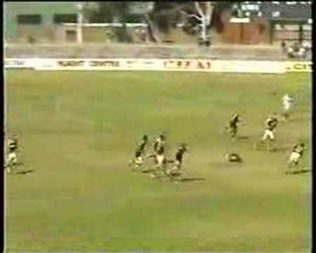 Mouse gets Smashed - YouTube