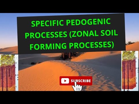 Zonal specific Soil Forming process //Soil forming processes ...