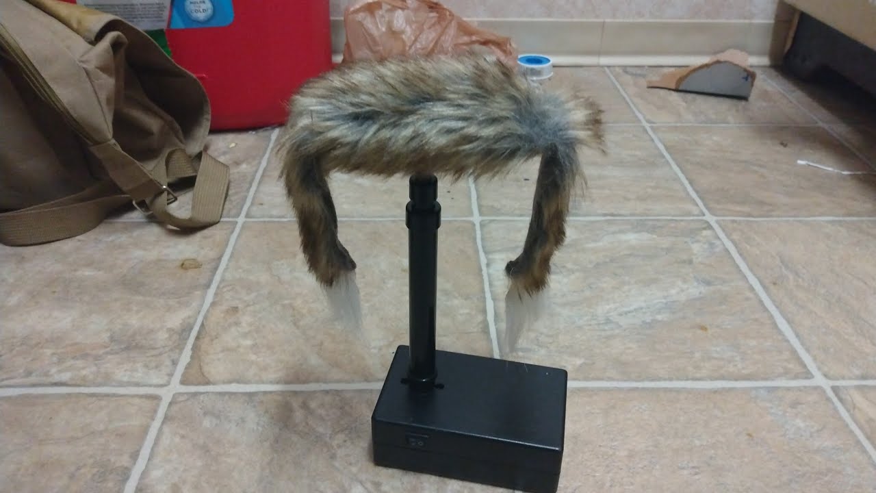 THE CHEAPEST ELECTRONIC PREDATOR DECOY EVER!!!!! LUCKY DUCK LIL ...
