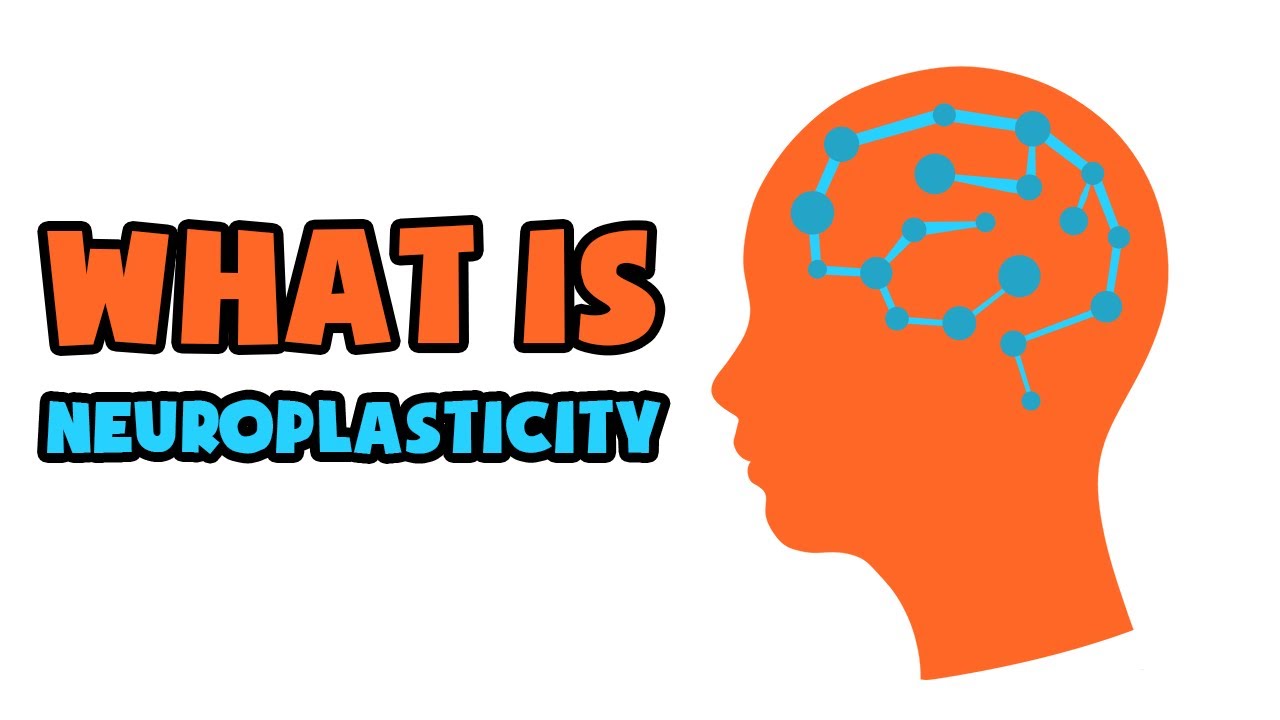 What is Neuroplasticity | Explained in 2 min - YouTube