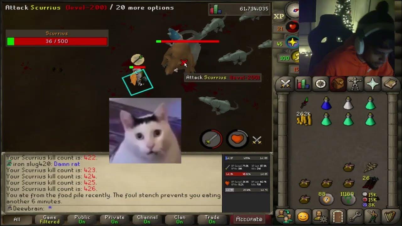 huh-427-scurrius-pet-youtube