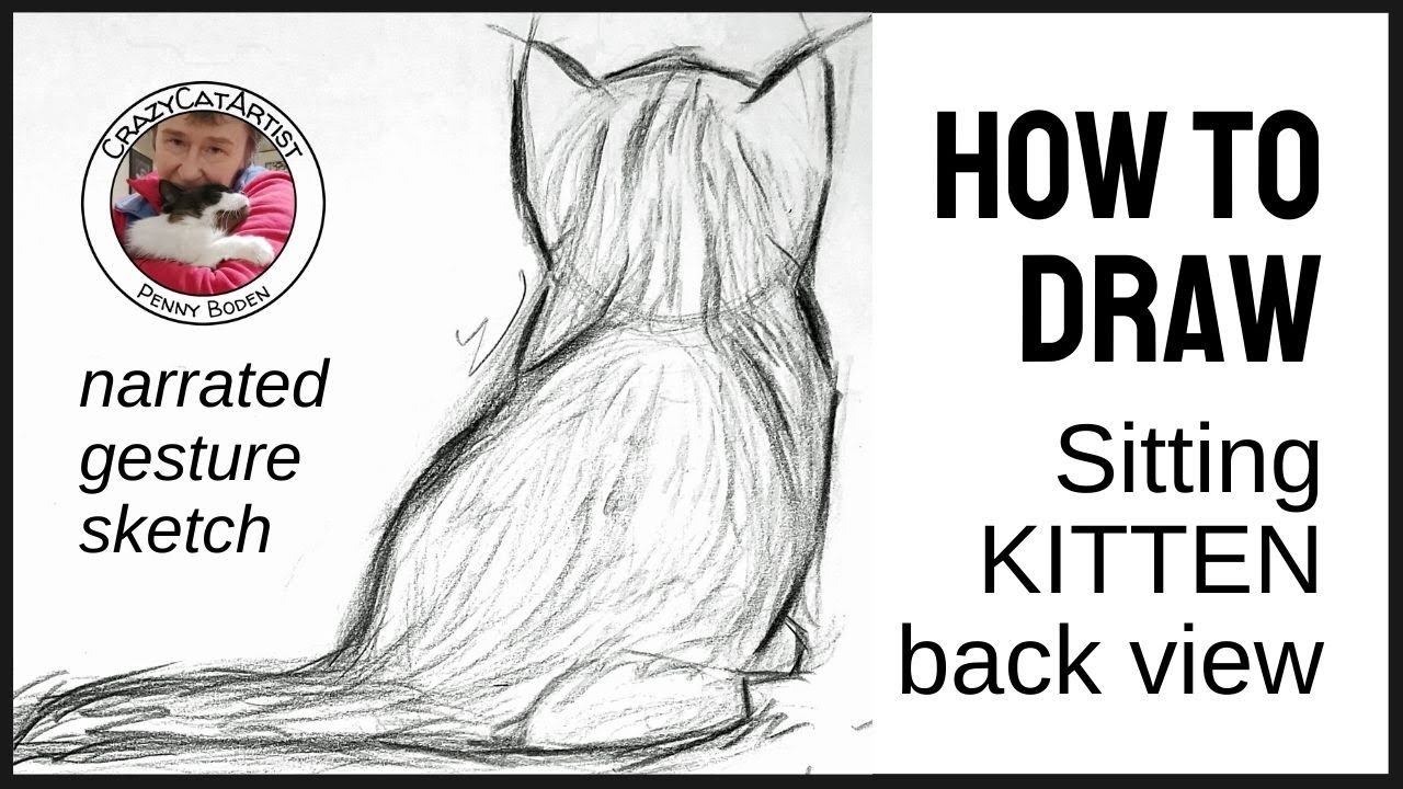 How to Draw Kitten Back Side View, fully body, tiny little baby sitting ...