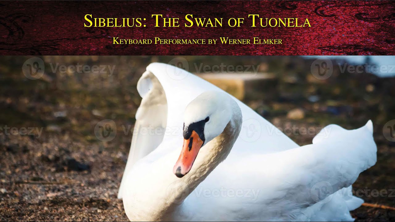 Sibelius: The Swan of Tuonela • Keyboard Performance by Werner Elmker ...