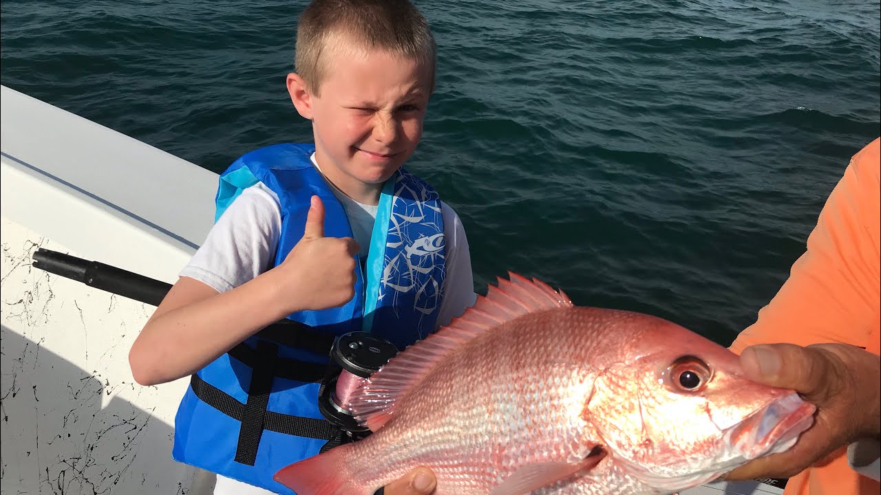 Fish fights in the ocean - YouTube