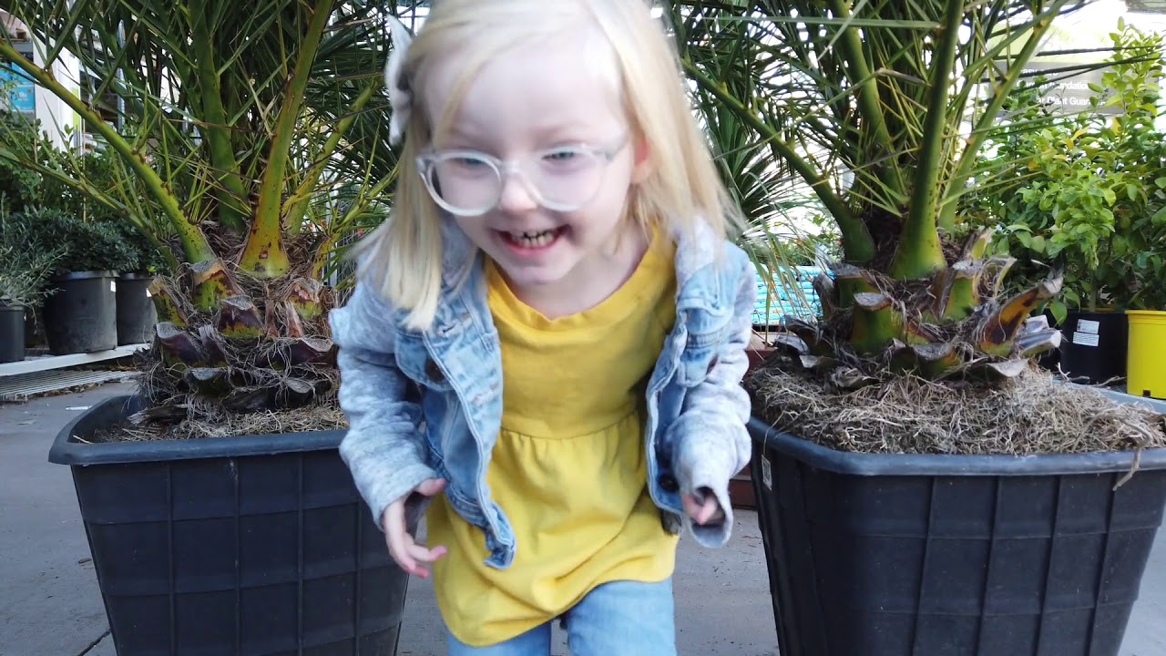 Addison Plants a Plant - YouTube