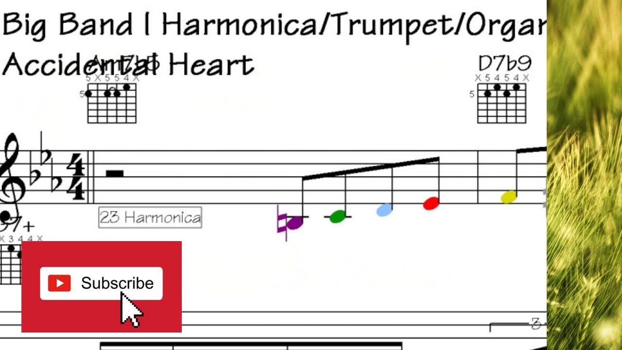 Harness the Power of HipHop for Epic Organ Harmonica Mastery: Elevate ...