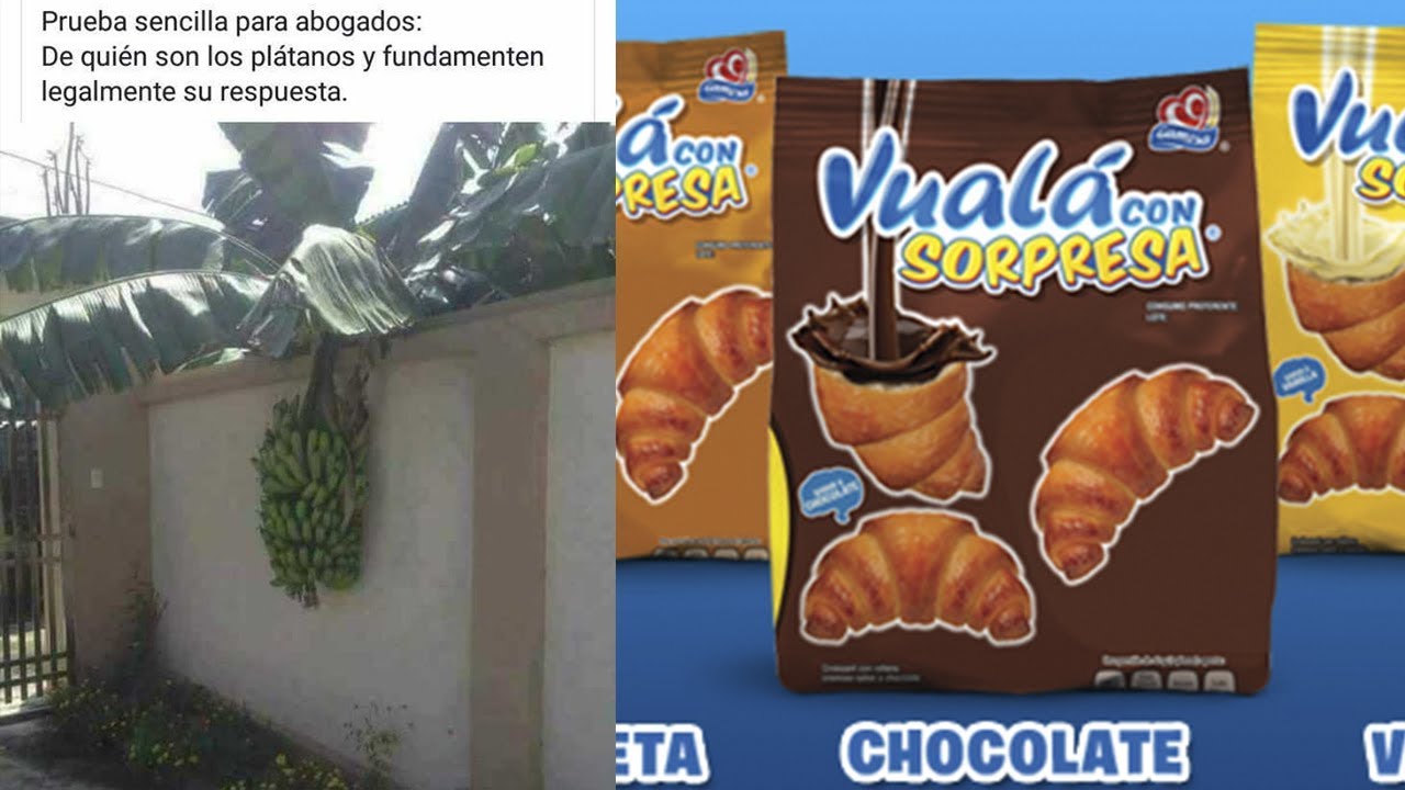 DE QUIEN SON LOS PLÁTANOS? l LOS VUALA ESTÁN DE REGRESO :o - YouTube