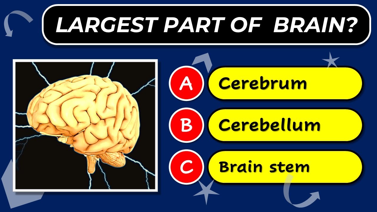 General Knowledge Quiz Show - Test Your GK Knowledge! | Part 11 - YouTube
