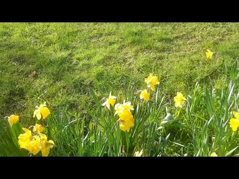 Je vais au travail  🥰🥰