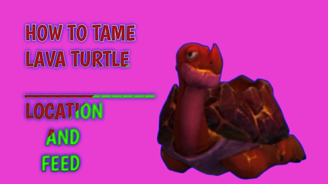 HOW TO TAME-LAVA TURTLE - YouTube