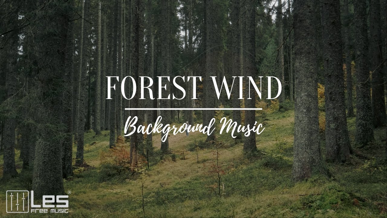 Forest Wind : Acoustic Solo Guitar Peaceful Sentimental Background ...