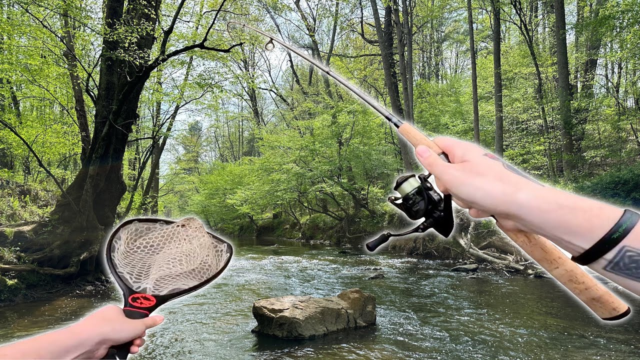 Catching BEAUTIFUL Stocked TROUT on the PIGG RIVER with LOCAL MADE ...