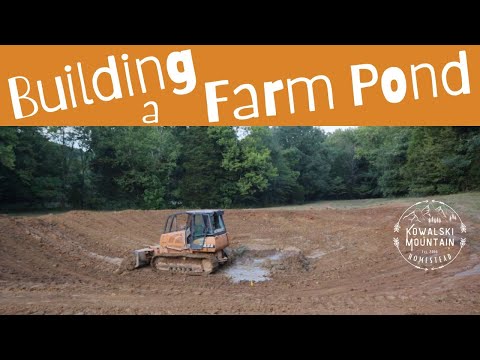 Building a Farm Pond | Bulldozer at Work - YouTube