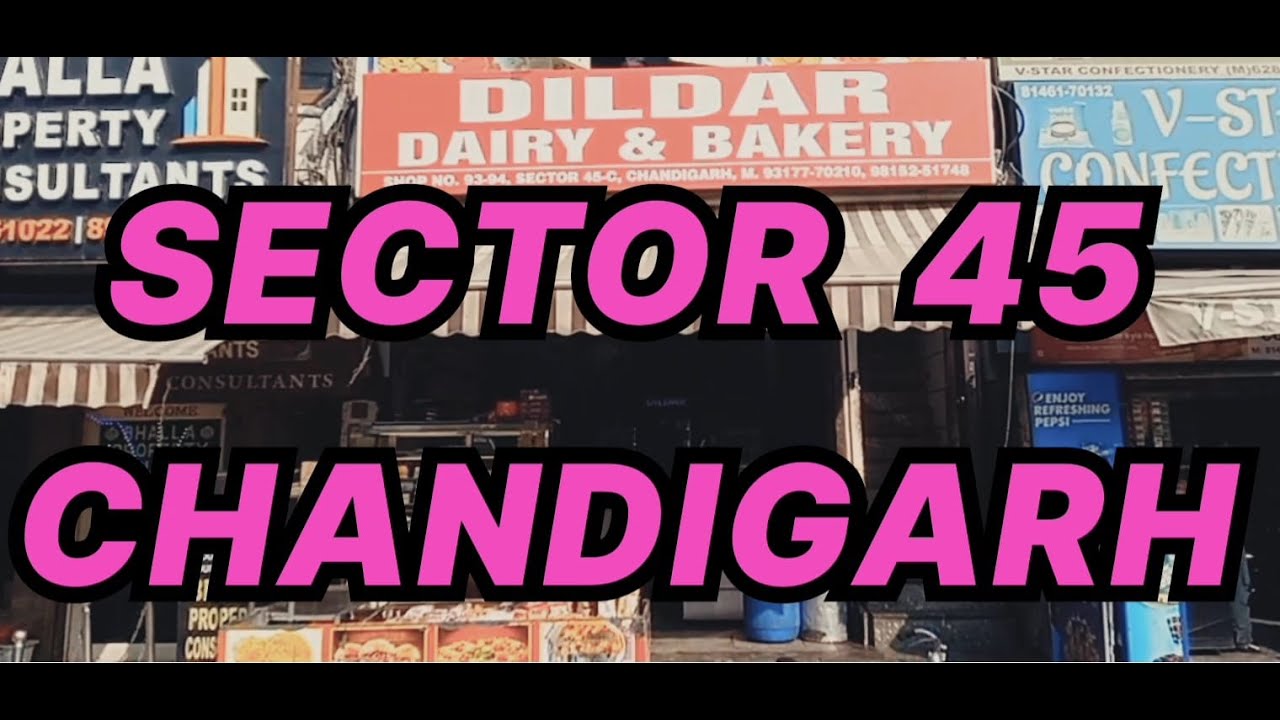 Sector 45 Chandigarh ( Burail ) Mohali City Tour Walking Tour ...