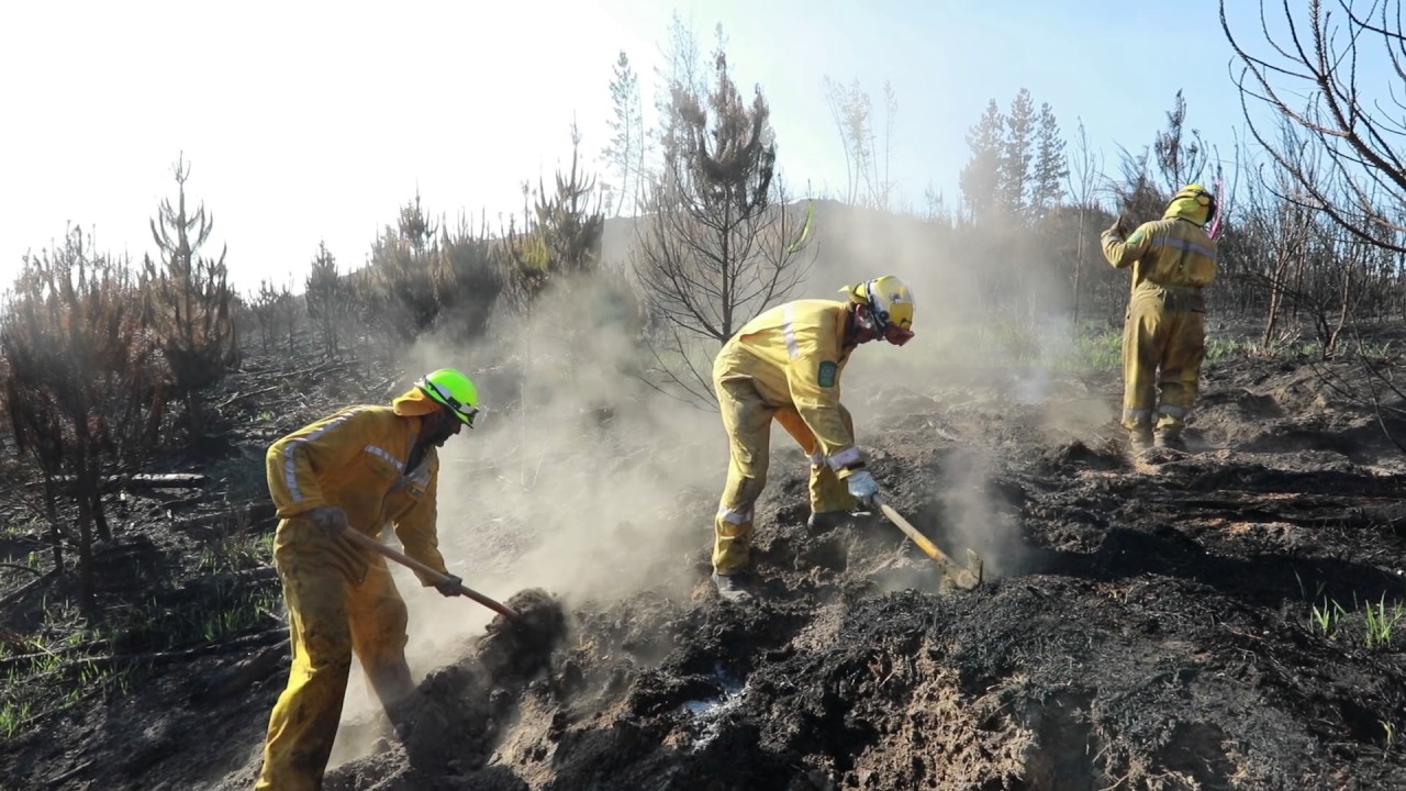 Dousing Port Hills Fire Hotspots - YouTube