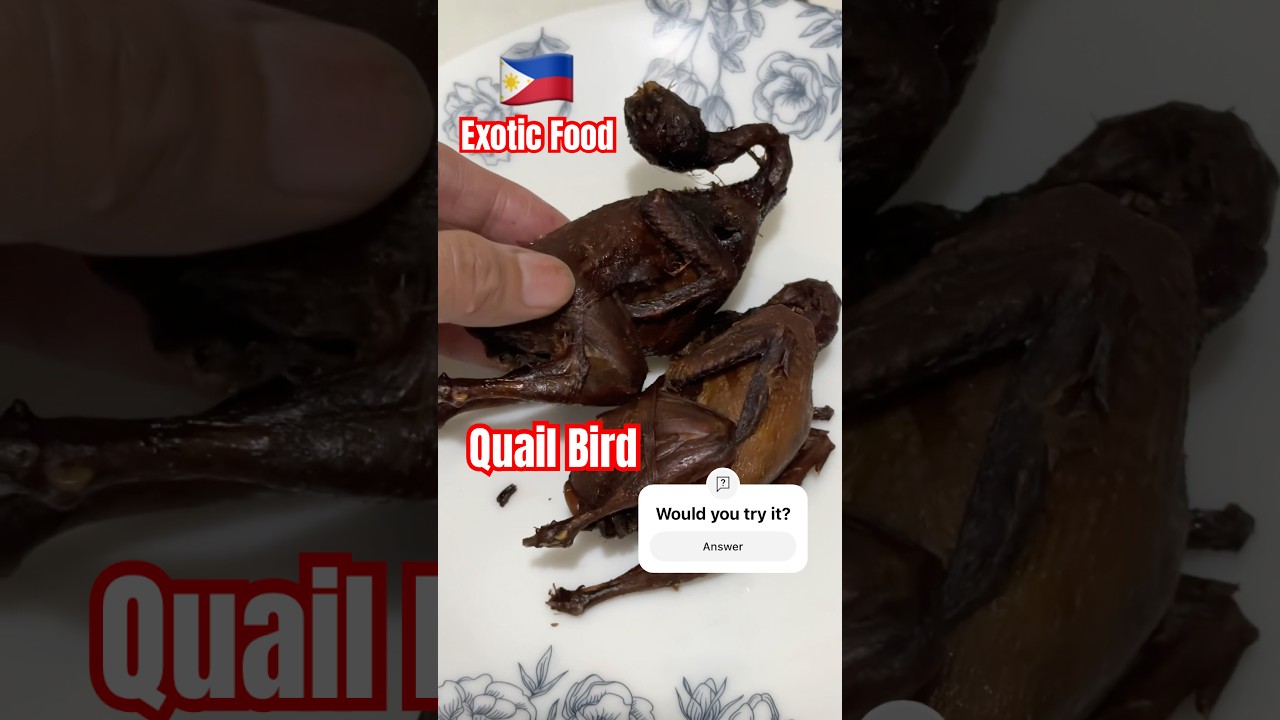 Exotic Foods in the Philippines - Quail Bird - YouTube