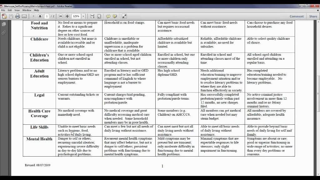Maricopa CM 205 - SSM (Self Sufficiency Matrix) - YouTube