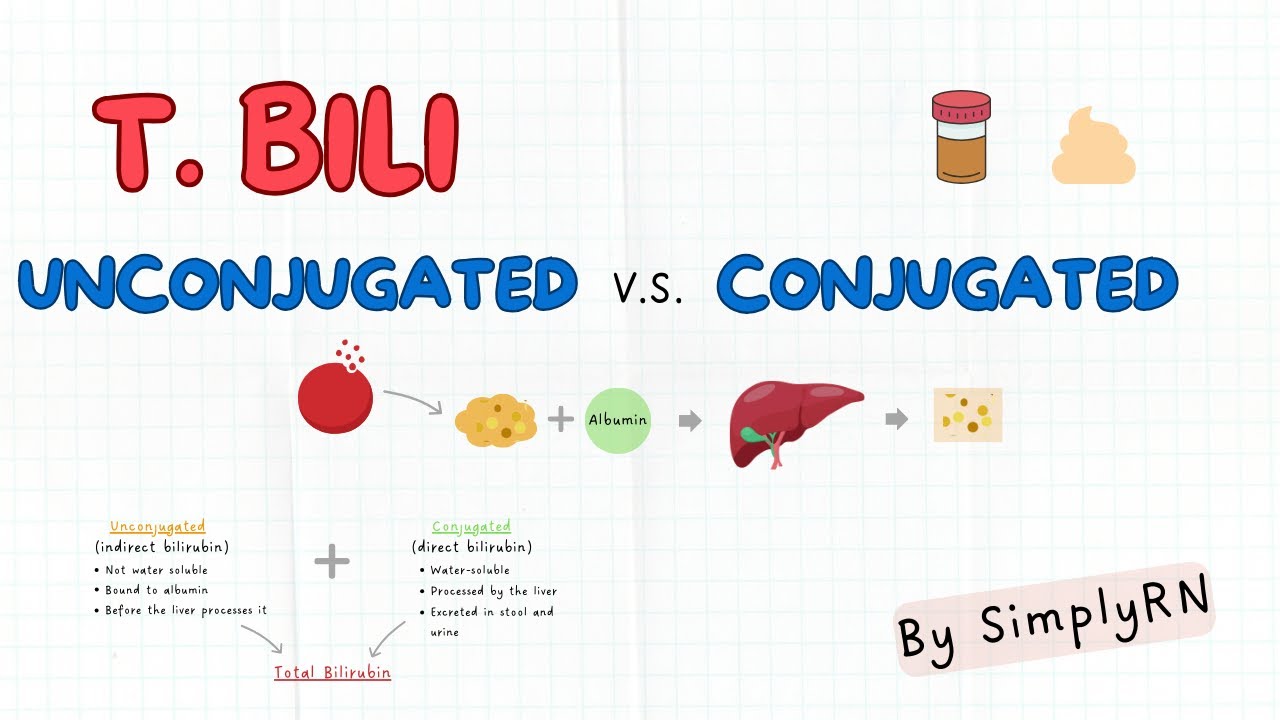 What is Total Bilirubin? Conjugated versus Unconjugated --- NCLEX ...