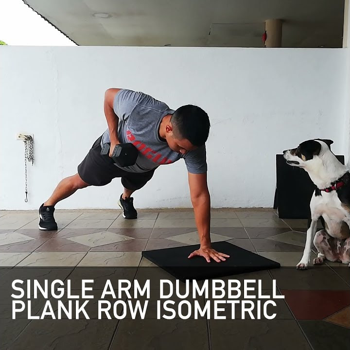 SINGLE ARM DUMBBELL PLANK ROW ISOMETRIC - YouTube