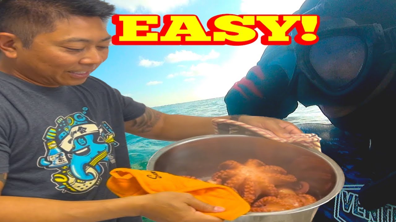 EASIEST KOREAN TAKO POKE, Tako Dive Hawaii 2023, Ep145 - YouTube