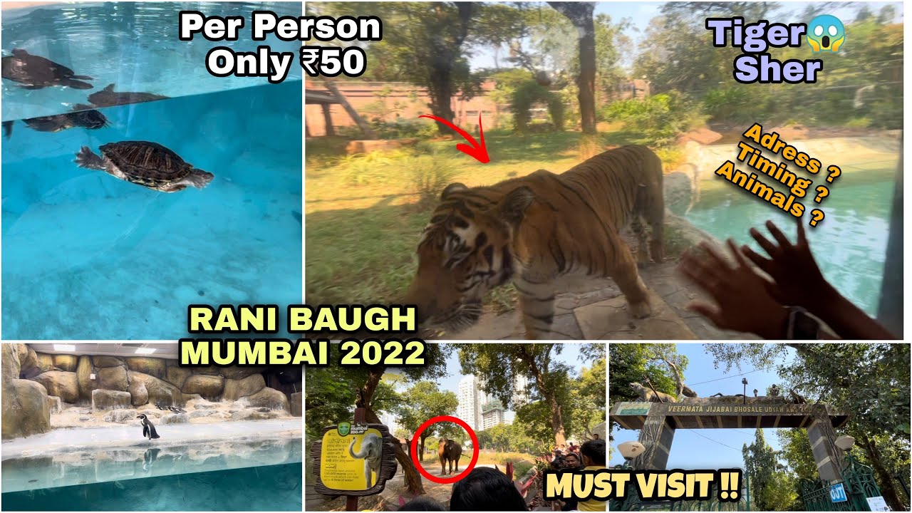 Rani Bagh Mumbai 2022 | Complete Tour Of Rani Bagh | Mumbai Bycull Zoo ...