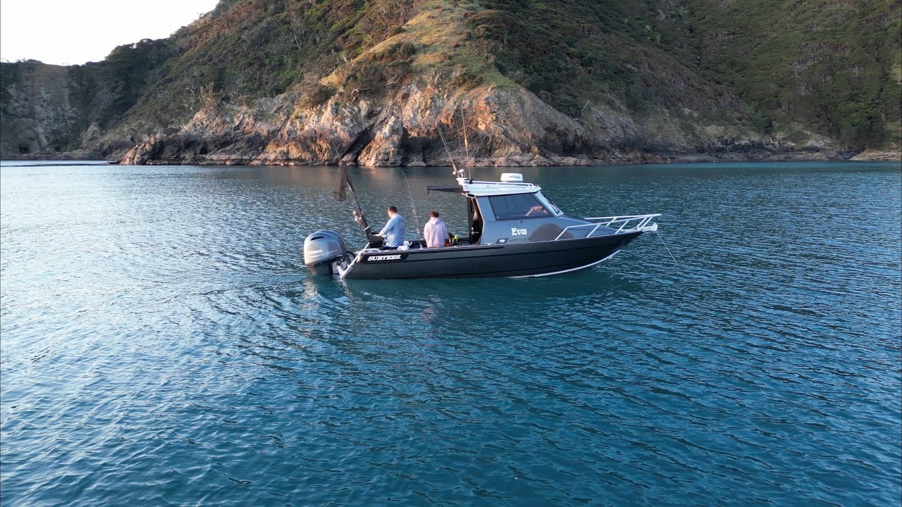 Overnight at GREAT BARRIER Island - Spearfishing Big Snapper + Crayfish ...