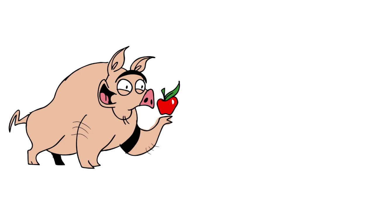 Metamorphosis Animation - YouTube