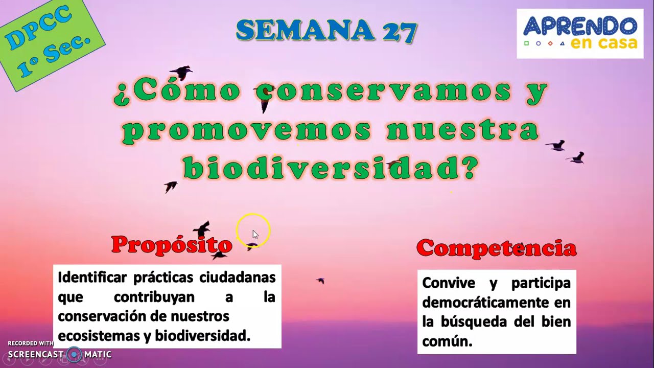 SesiÓn 44 CÓmo Conservamos Y Preservamos Nuestra Biodiversidad Youtube