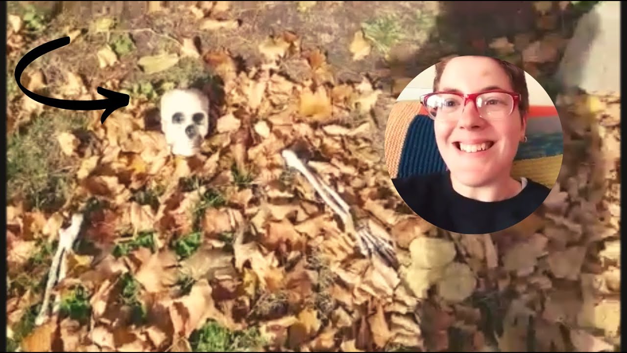 Back To The Random Vlogs - YouTube