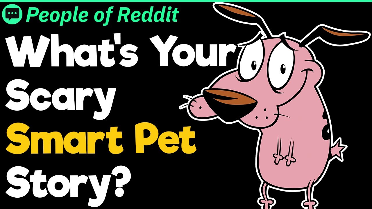 What's Your Scary Smart Pet Story? - YouTube