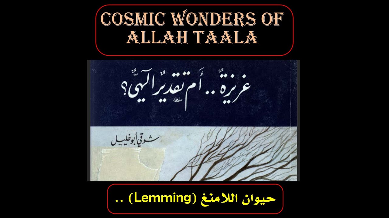 💍 Cosmic wonders of Allah Taala 💍 The Lemming. - YouTube