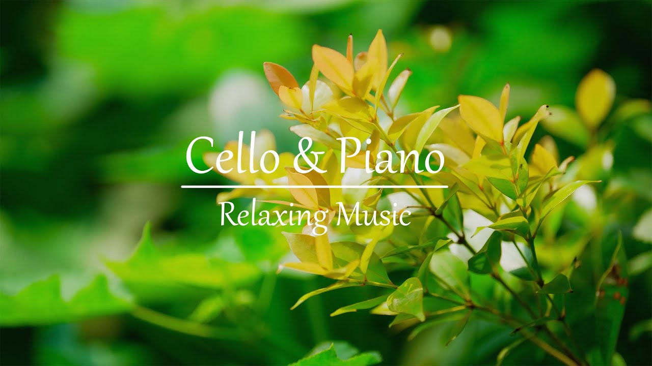 THE BEST GOOD MORNING MUSIC - Happy & Positive Energy - Morning ...