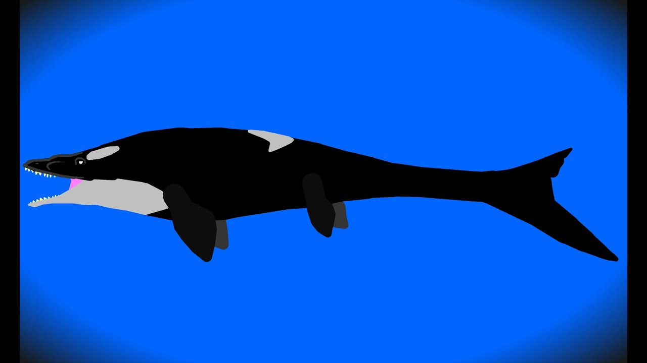 Platecarpus test [Read description] - YouTube