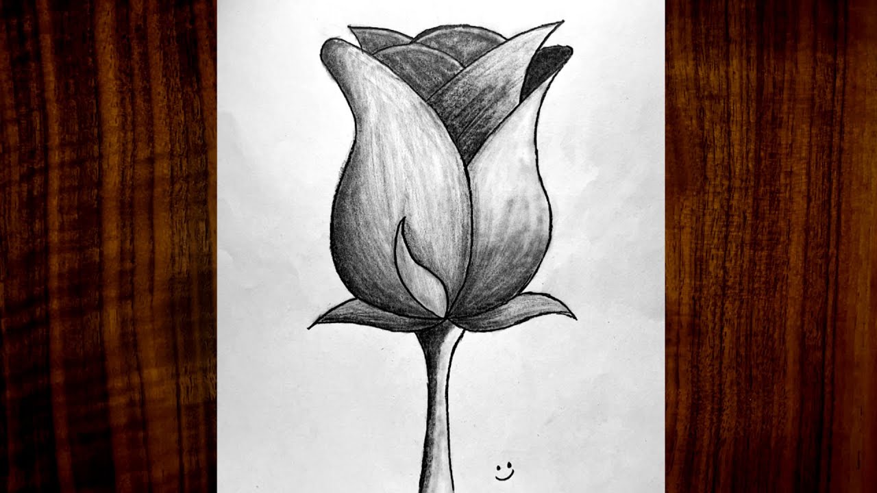 HOW TO DRAW A BEAUTIFUL ROSE🌹 | EASY ROSE DRAWING STEP-BY-STEP - YouTube