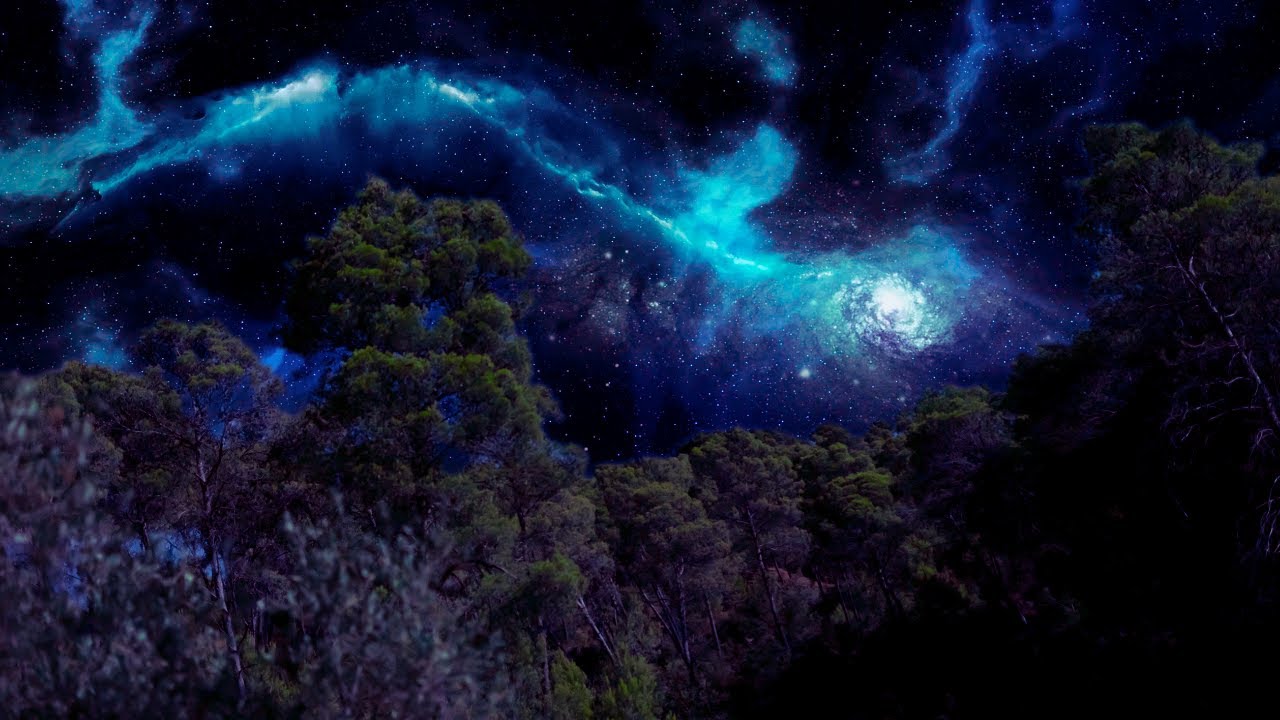 Deep Forest Nights: Pure Cricket Ambience for Relaxation 🌟 - YouTube