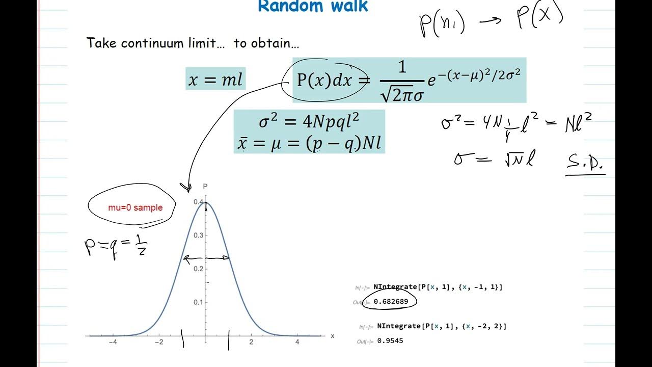 random walk distribution - YouTube