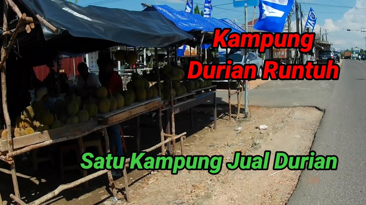 Kampung Durian Runtuh, Satu Kampung Jual Durian - YouTube