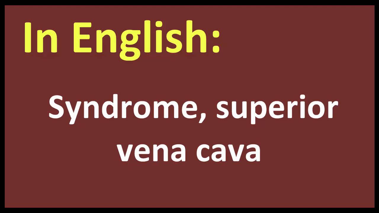Syndrome Superior Vena Cava Arabic MEANING YouTube syndrome-superior-vena-cava-arabic-meaning-youtube