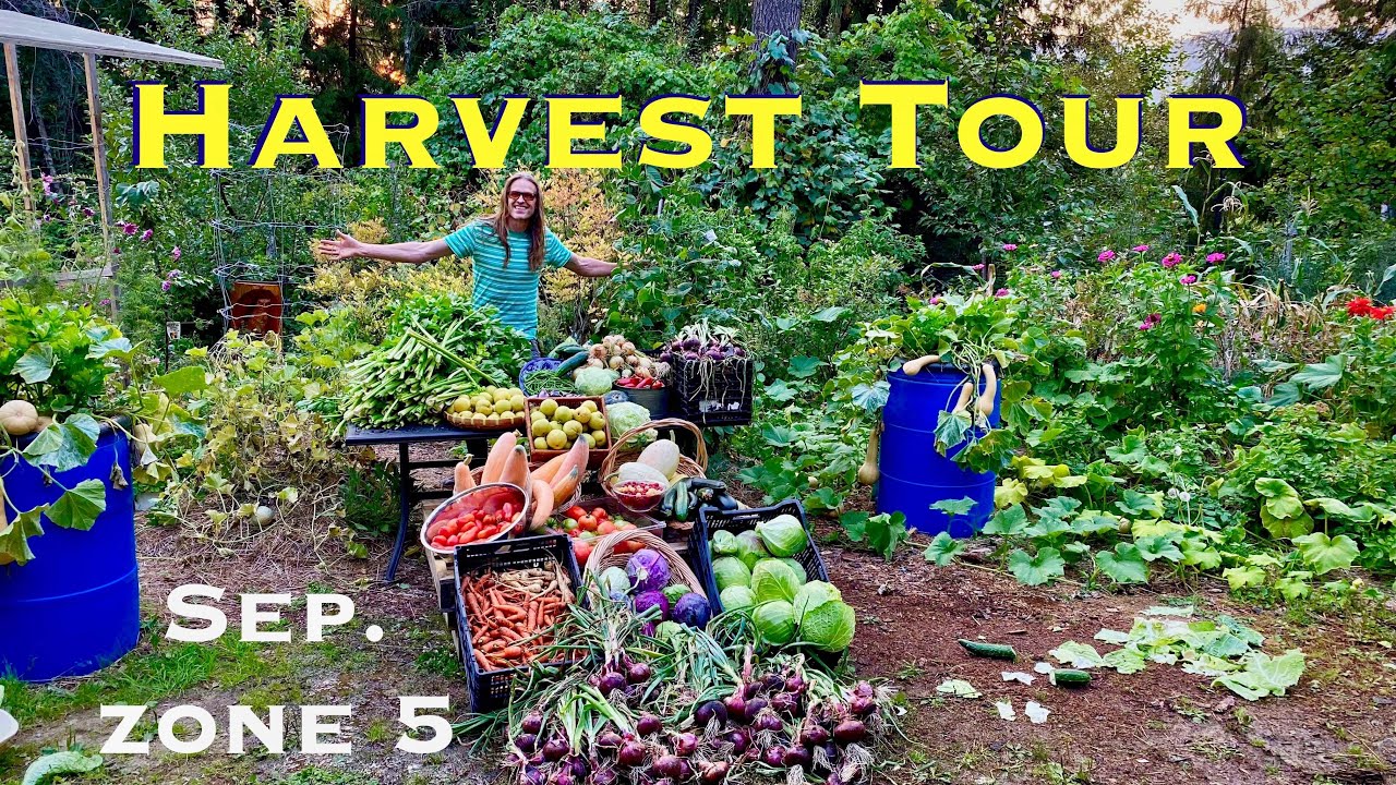 The Little Grand Permaculture Harvest Tour with Growing Tips and Ideas - YouTube