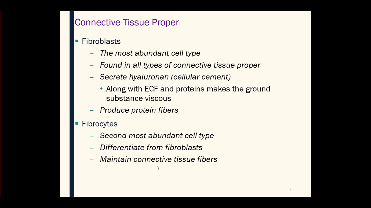 22 Intro To CT, CT Proper - YouTube